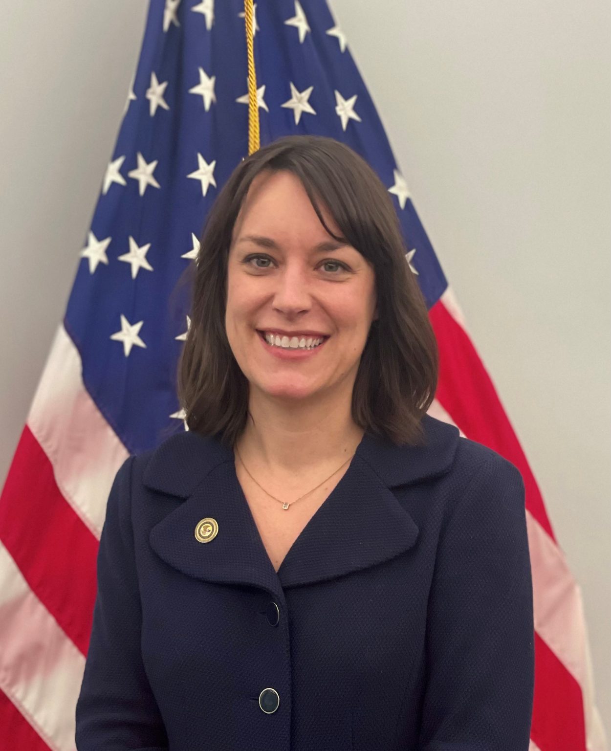 Public Service Attorneys in Idaho: Insights and Perspectives Working in ...